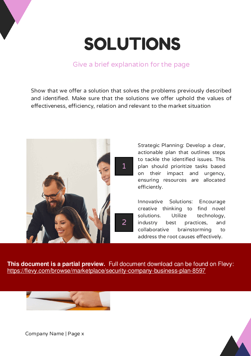 Security Company Business Plan PDF