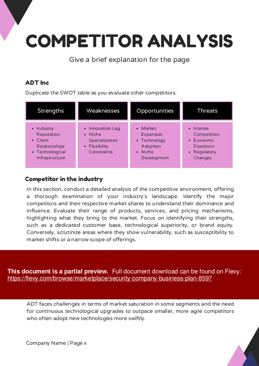 Security Company Business Plan PDF